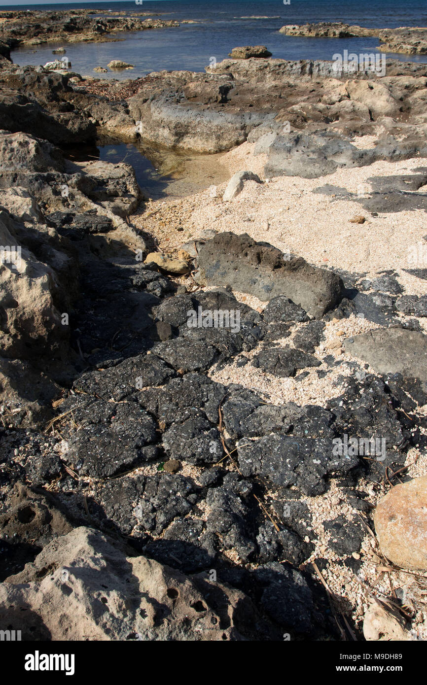 tar as environmental pollution on the mediterranean shore of kato ...