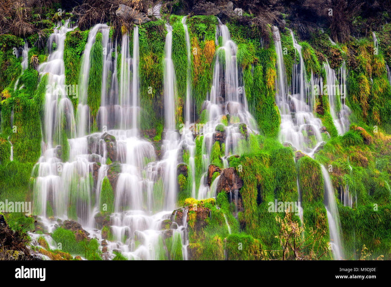 Natural springs pour from the ground in the beauty of nature Stock ...