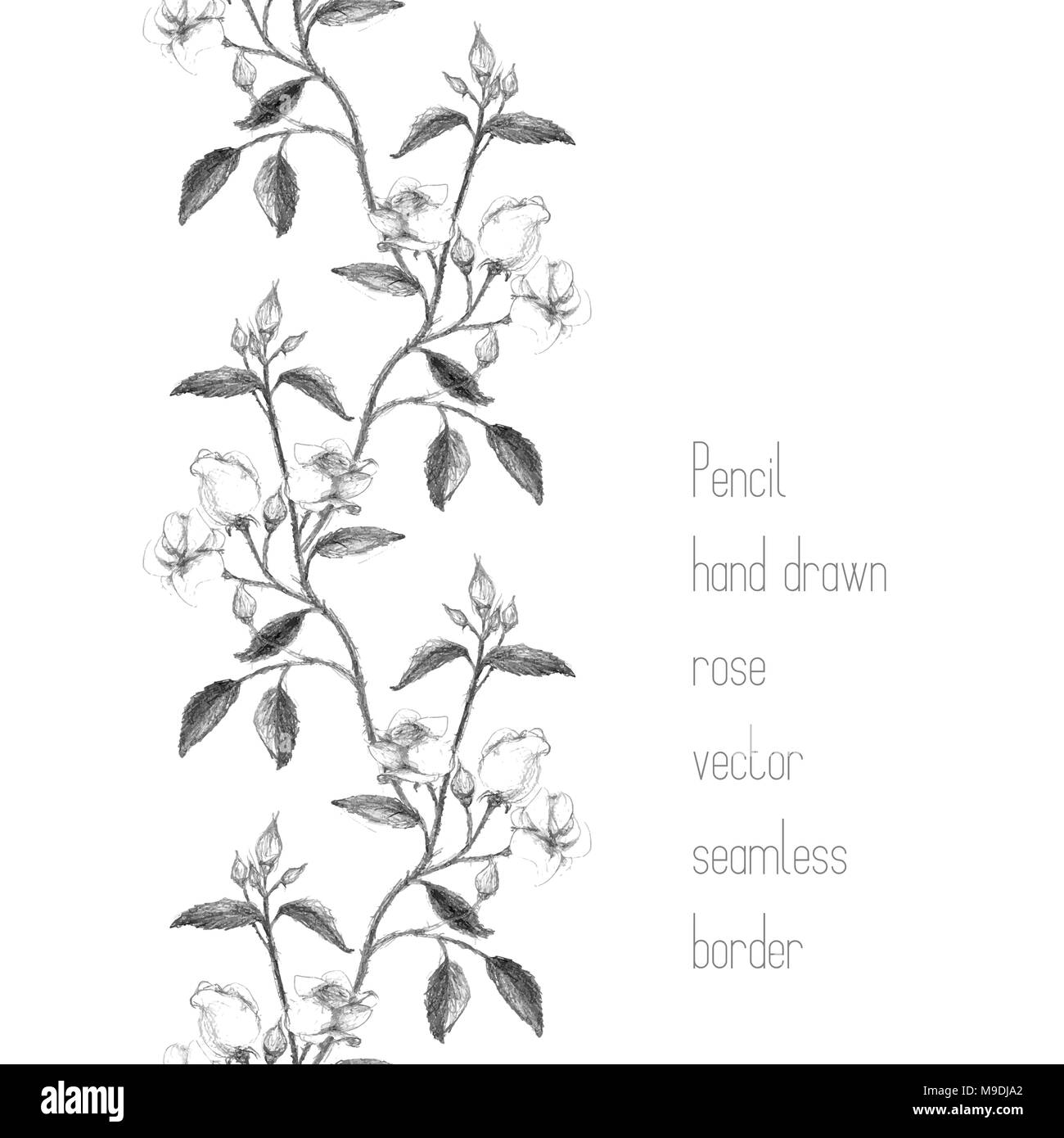 Seamless vector vertical border Black and White Stock Photos & Images ...