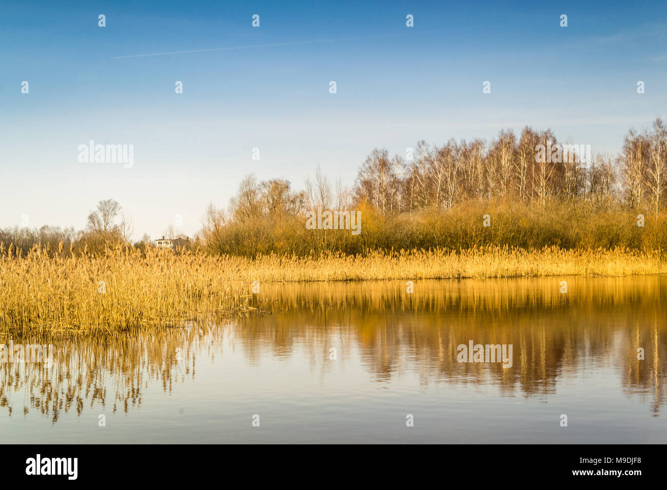 Park with a pond hi-res stock photography and images - Alamy