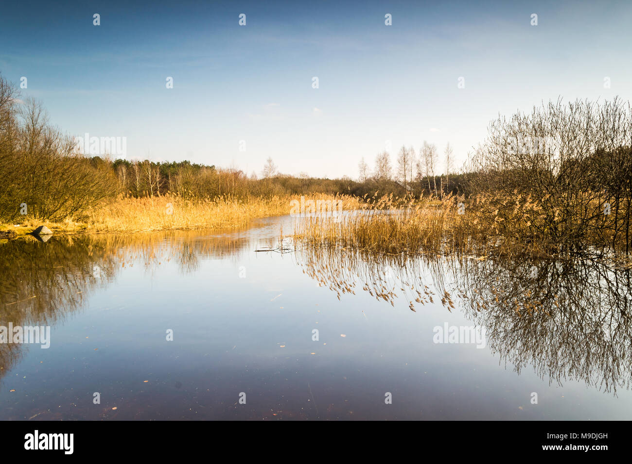 Park of a pond hi-res stock photography and images - Alamy