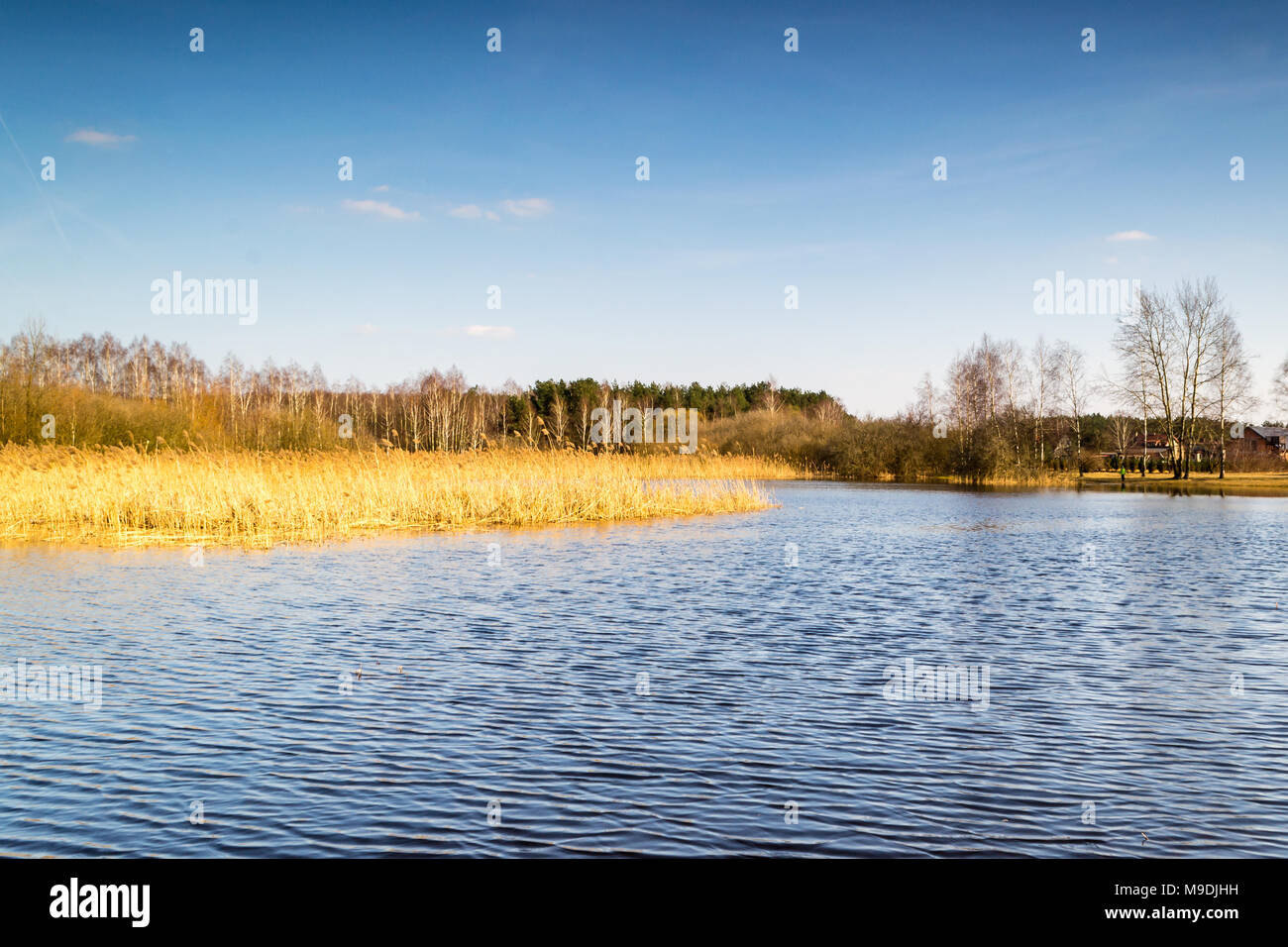 Park of a pond hi-res stock photography and images - Alamy