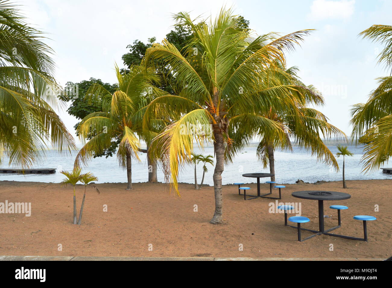 Caroni river shore Stock Photo - Alamy