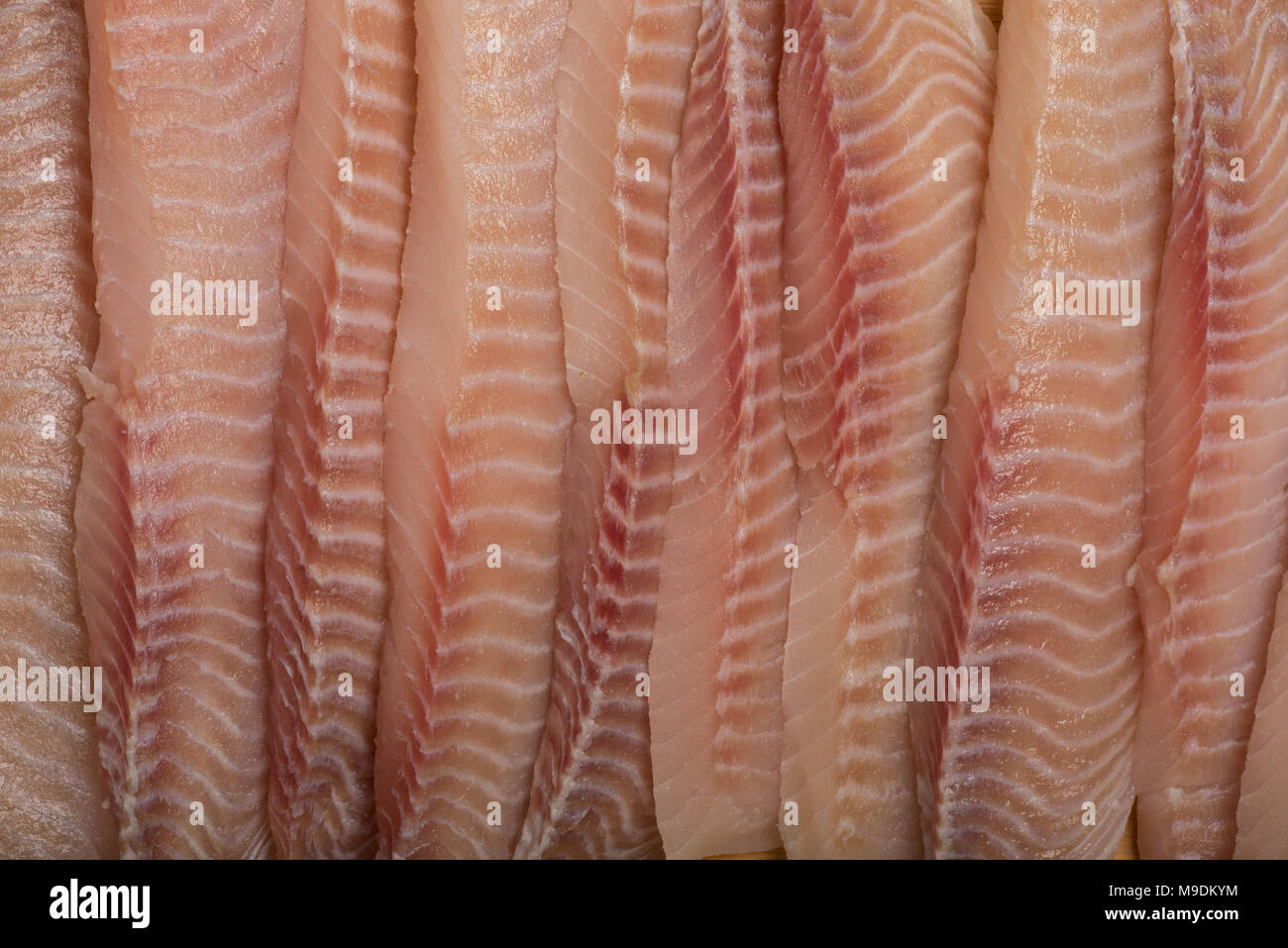 Fresh sea bass filleted fish hi-res stock photography and images - Alamy