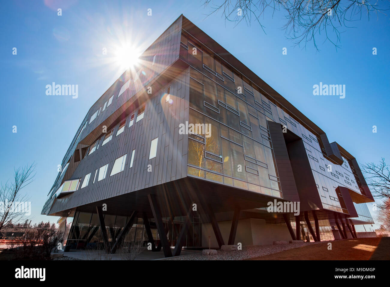 Stephen hawking hi-res stock photography and images - Alamy