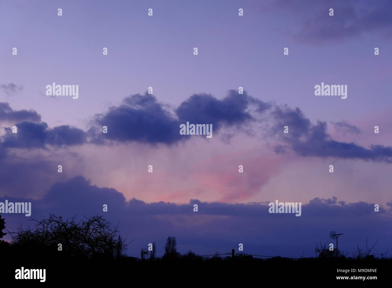 Sunset over silhouette tree line Stock Photo - Alamy
