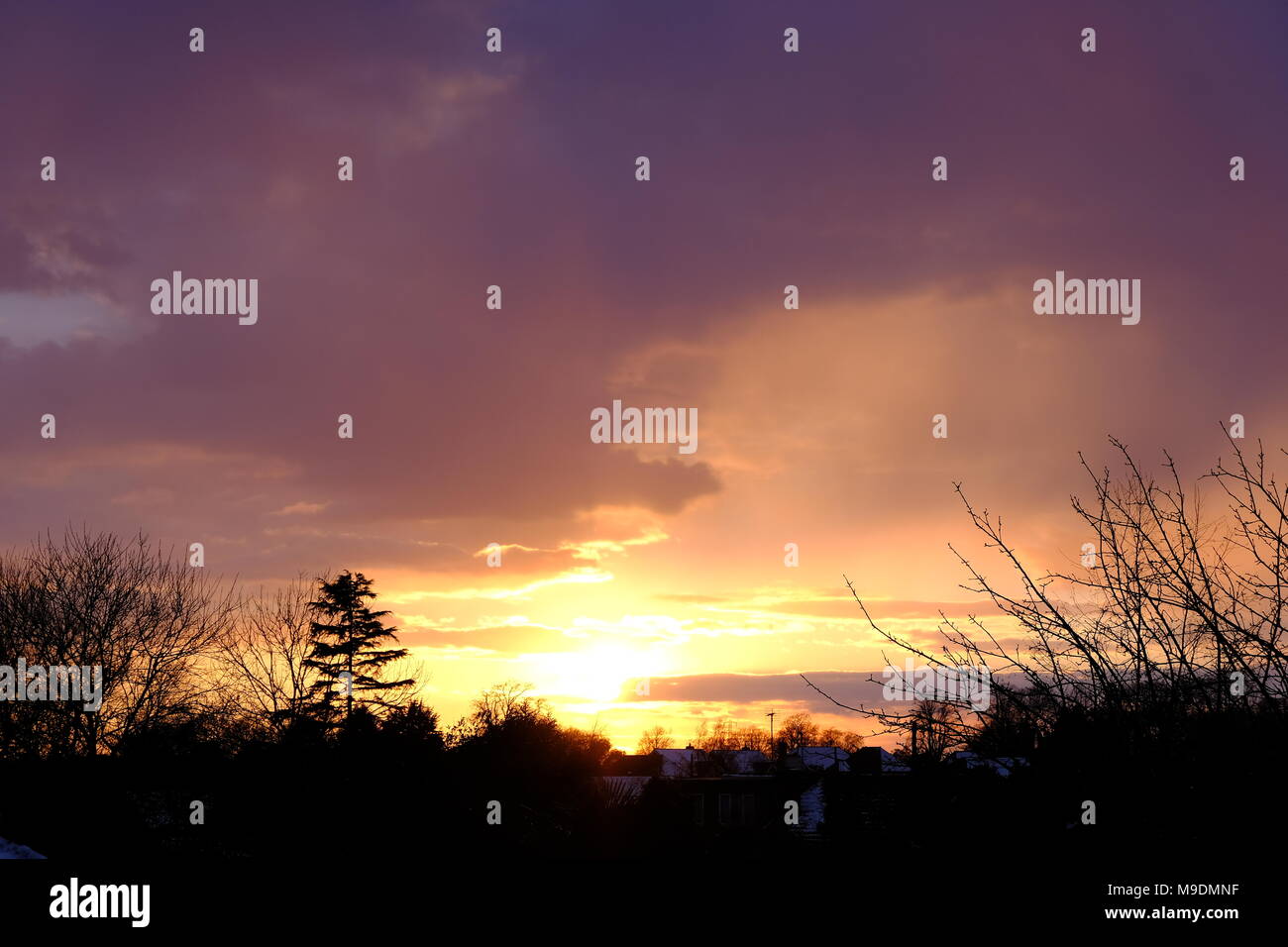Sunset over silhouette tree line Stock Photo - Alamy