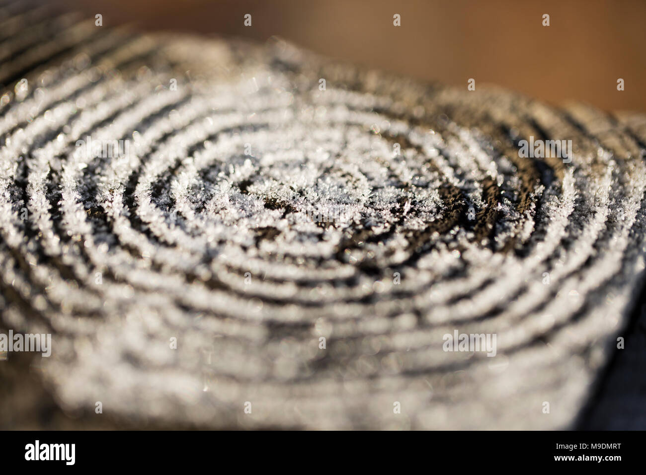 Frost ring hi-res stock photography and images - Alamy