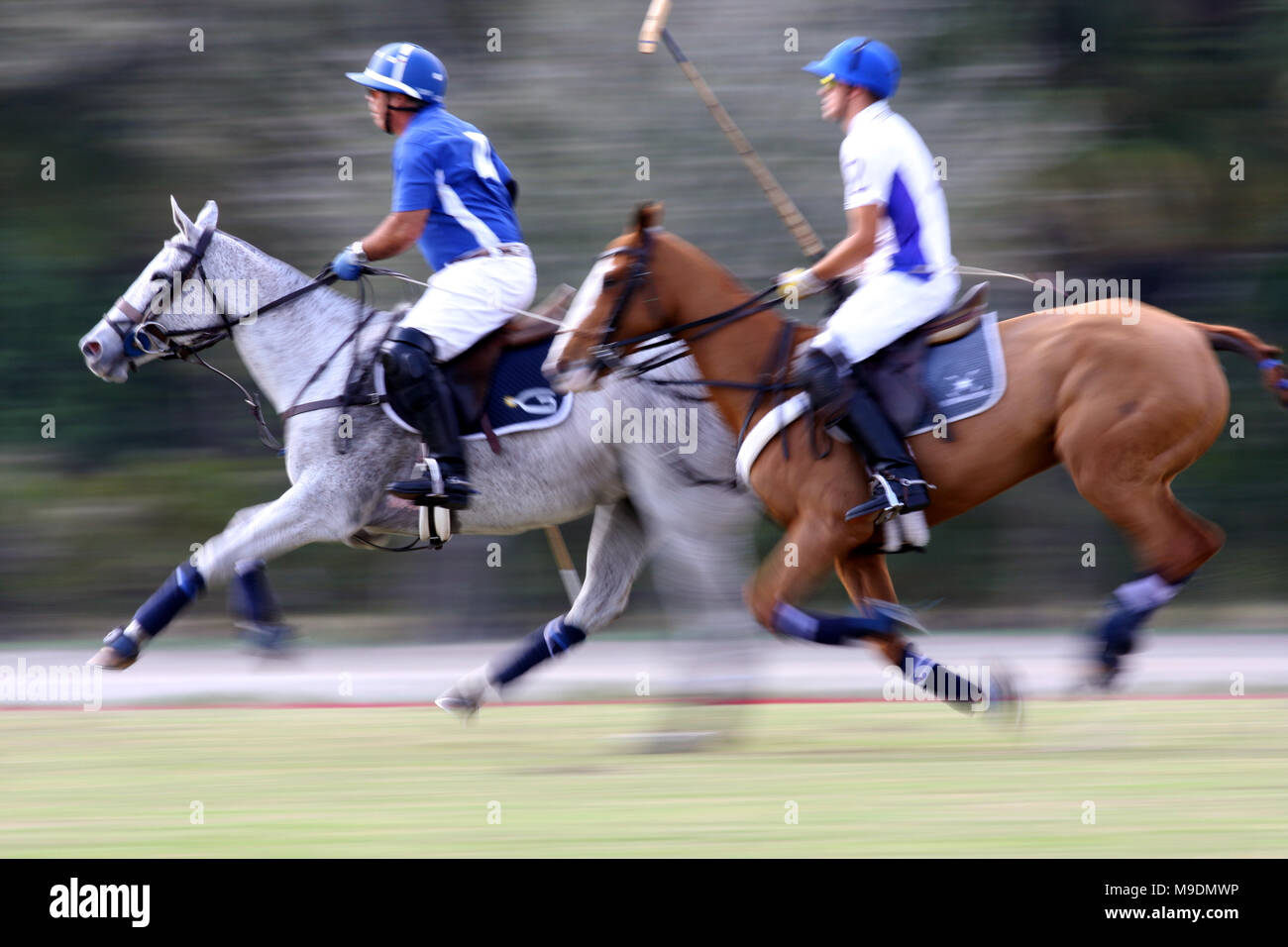 Wanderer's Classic at the International Polo Club in Wellington ...