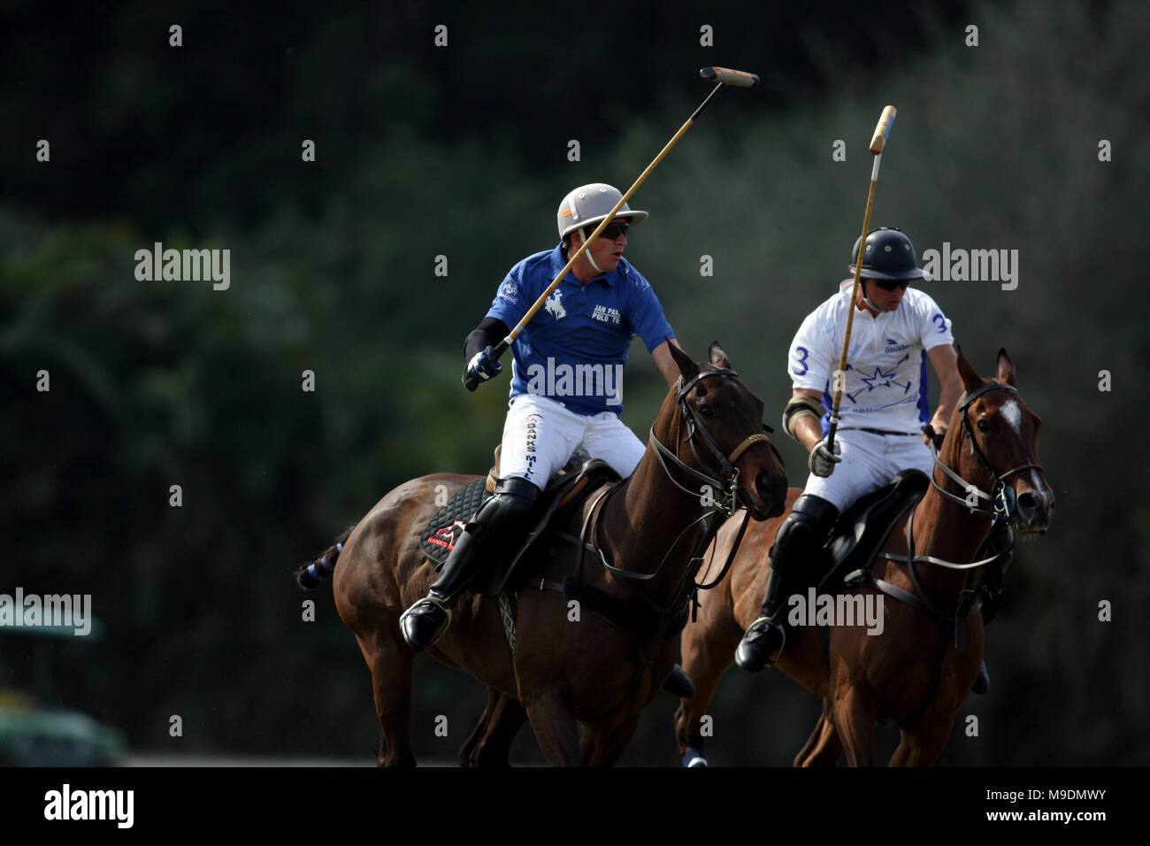Wanderer's Classic at the International Polo Club in Wellington ...