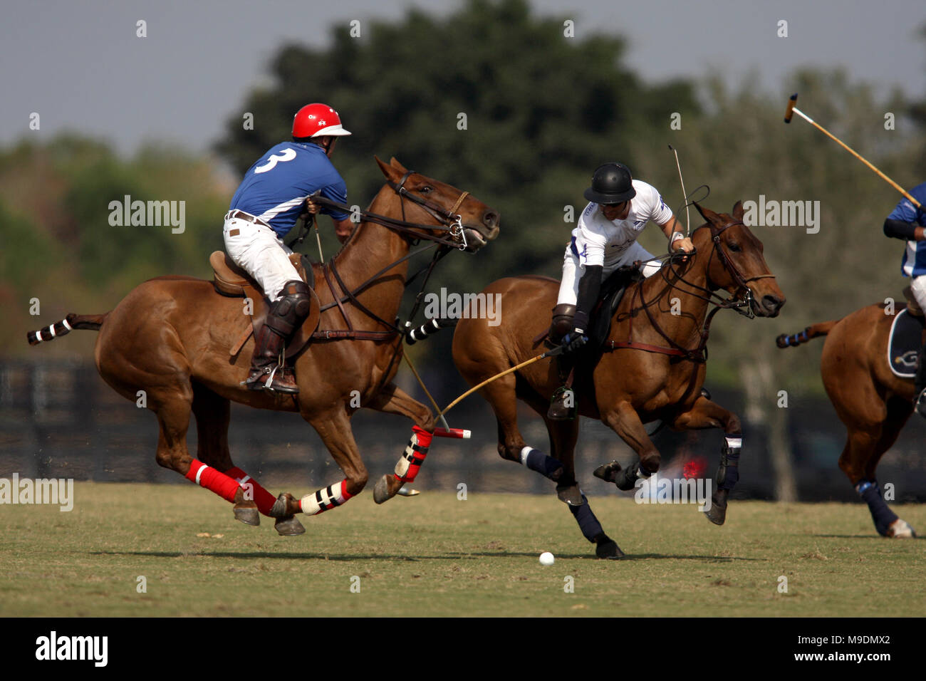 Wanderer's Classic at the International Polo Club in Wellington ...