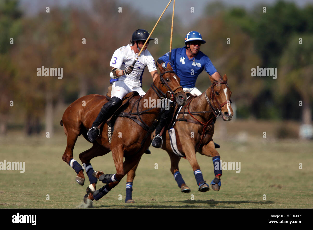 Wanderer's Classic at the International Polo Club in Wellington ...