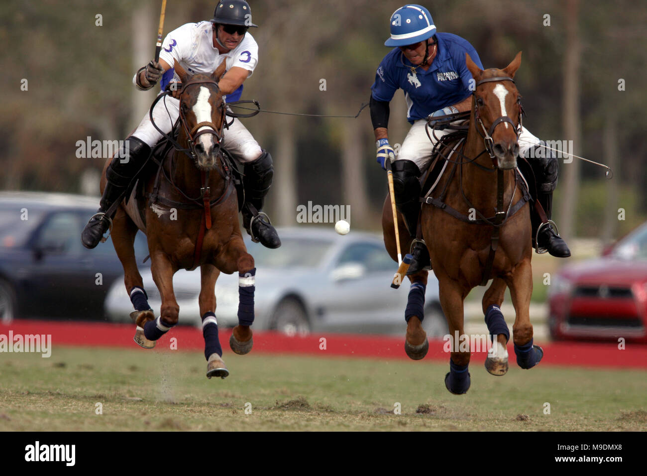 Wanderer's Classic at the International Polo Club in Wellington ...