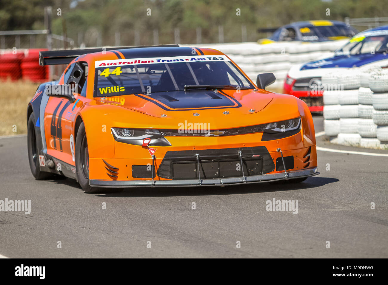 Ta2 TransAm Racing from AMRS series Winton Raceway Victoria Ausralia ...