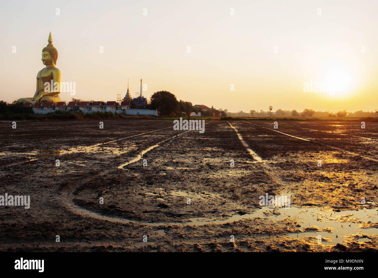 Buddha sculpture on background evening hi-res stock photography and ...