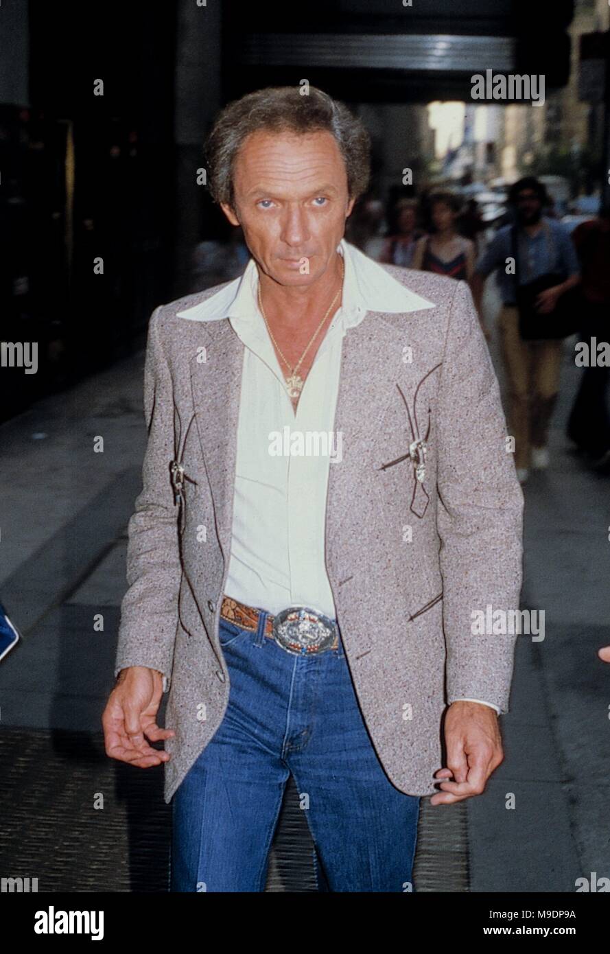 September 1981 hi-res stock photography and images - Alamy