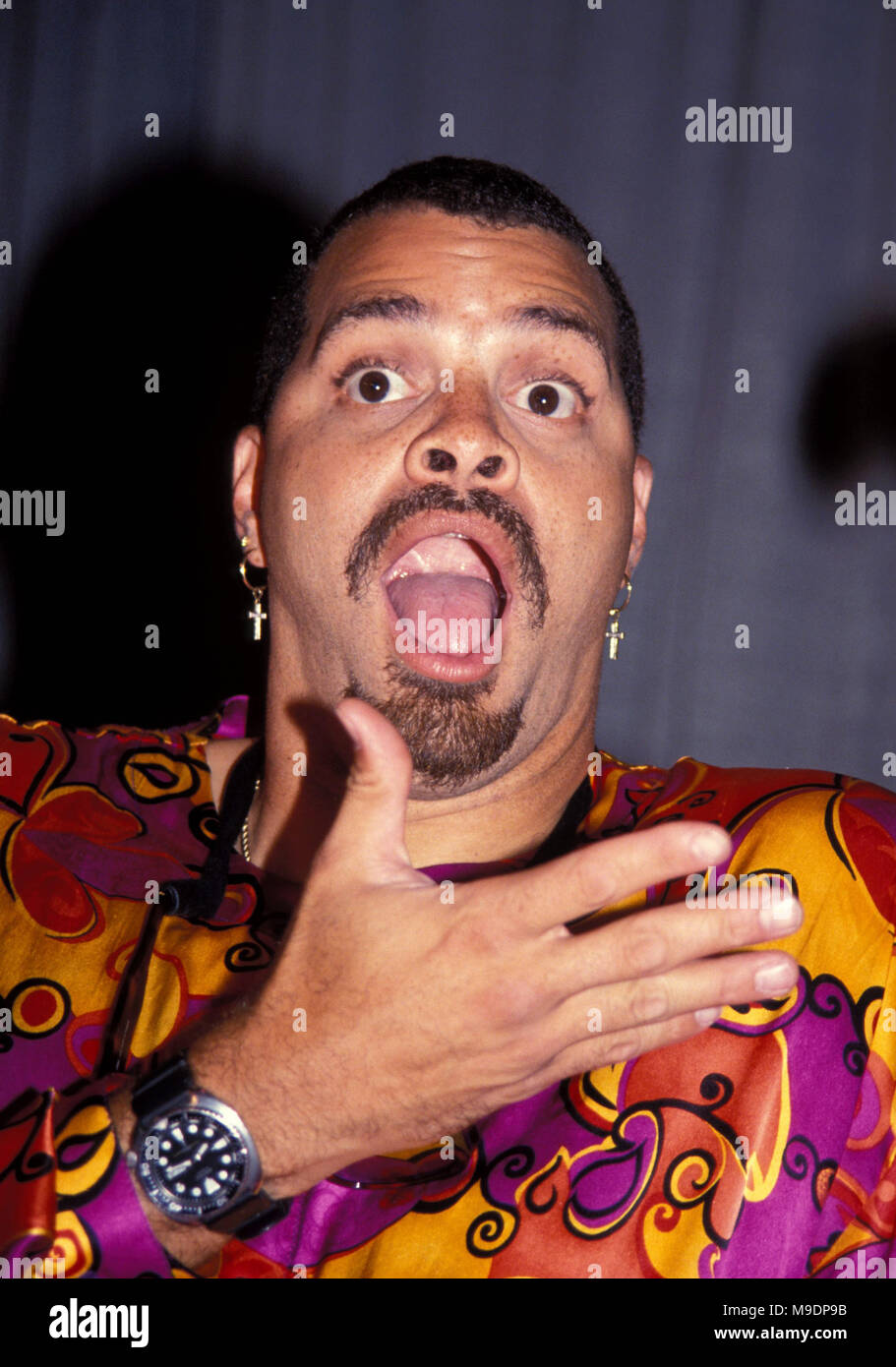 Sinbad photographed in the 1990's. Credit: Walter McBride/MediaPunch ...
