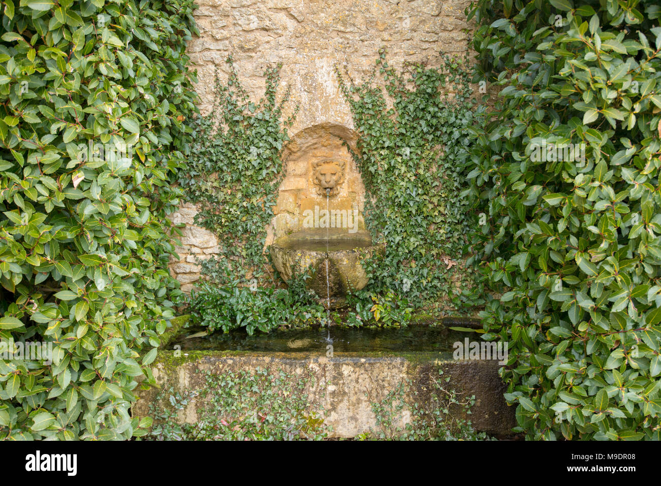 ornate drinking fountain pouring water into trough made from costwold ...