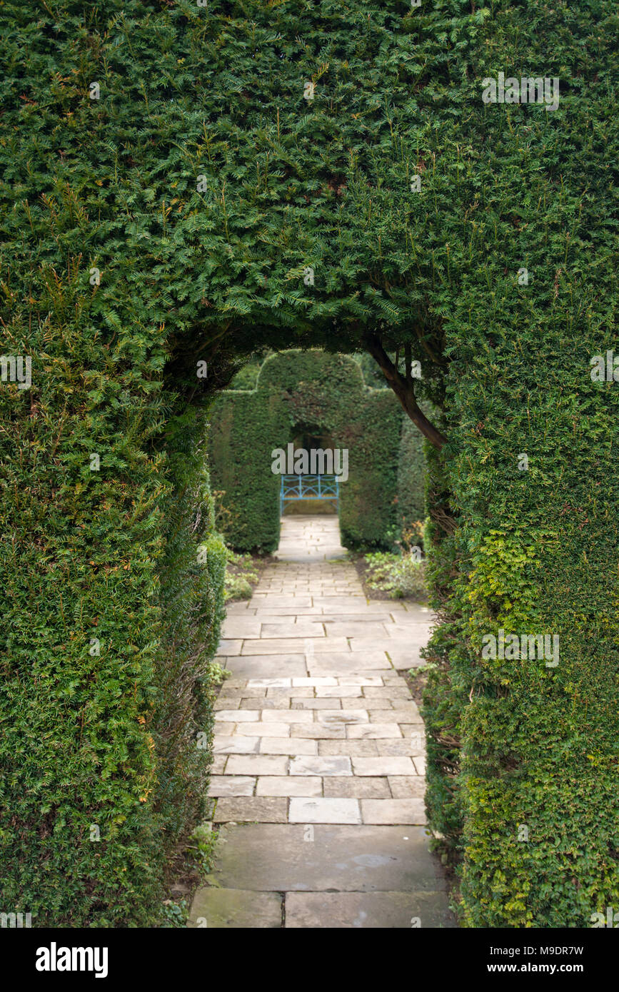 Privet hedge gate hi-res stock photography and images - Alamy