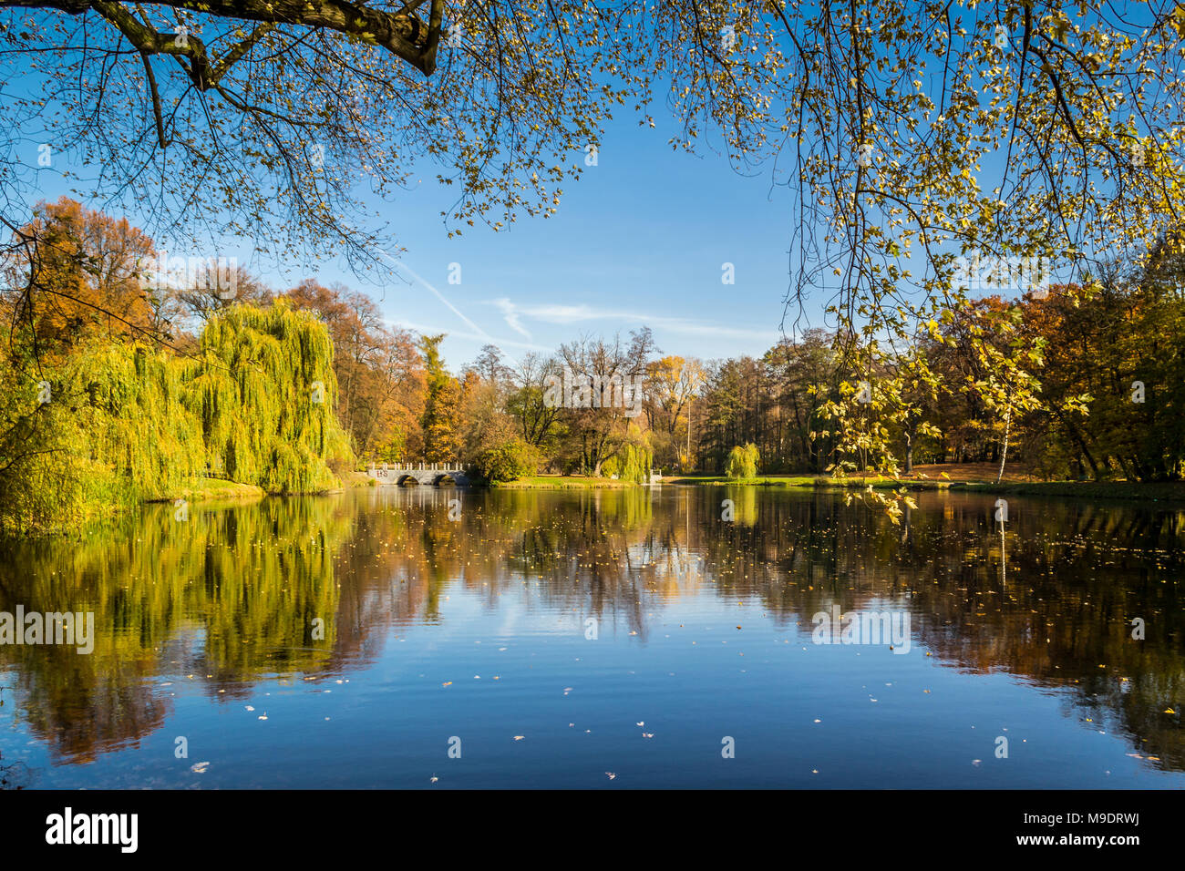 Autumn in a city park in the city of Lodz, Poland Stock Photo - Alamy