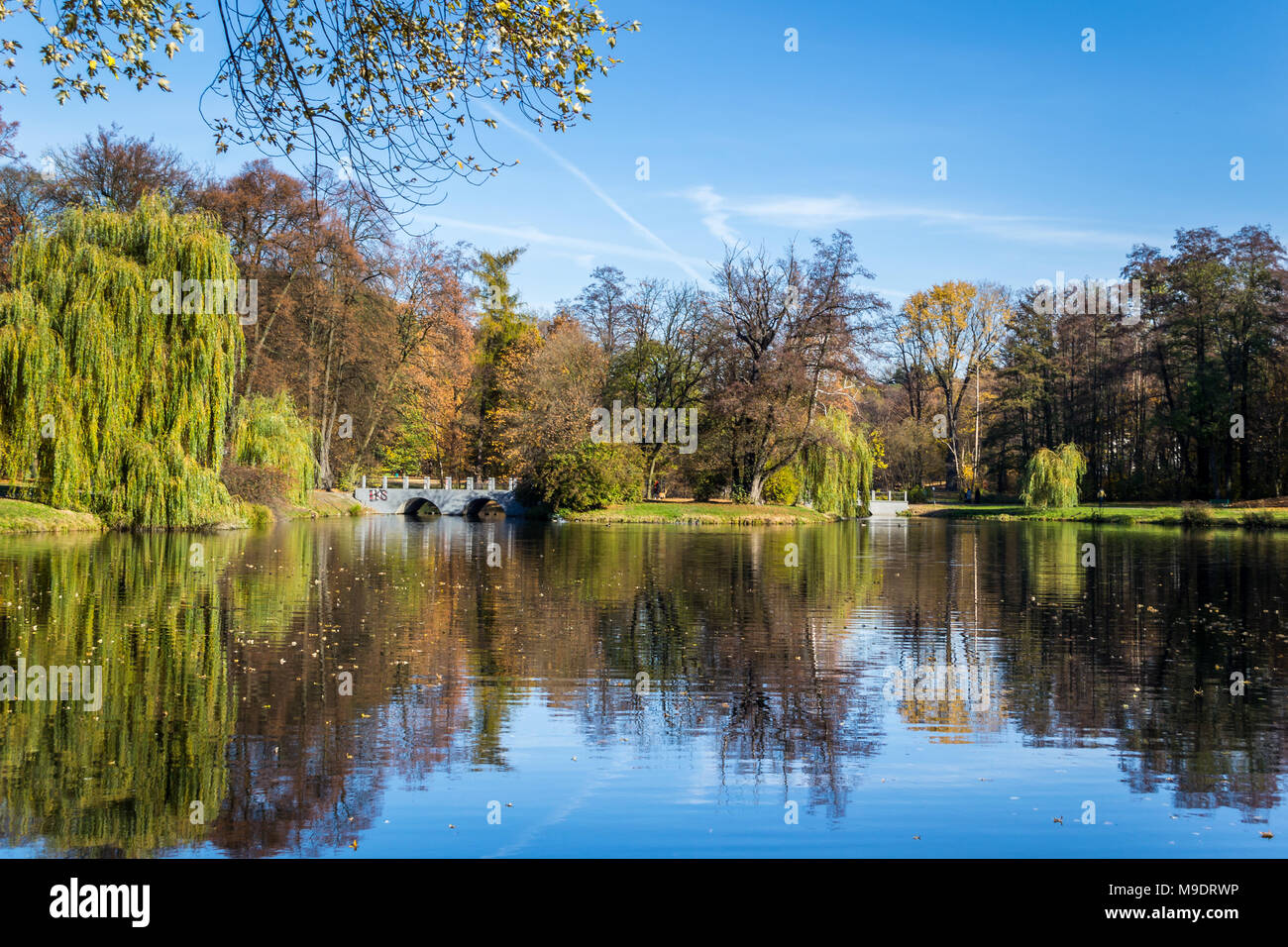 Autumn in a city park in the city of Lodz, Poland Stock Photo - Alamy