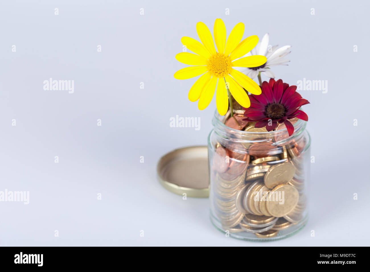 Money flowers in a glass jar full of euro coins on white background ...