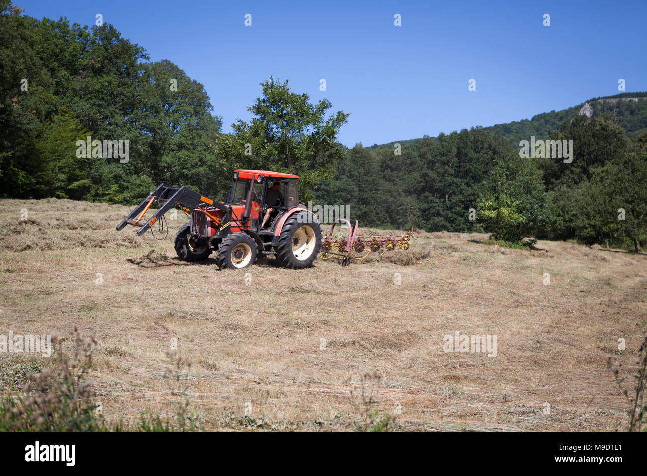 Red tractor haying meadow surrounded bij woods in Hungary Stock Photo ...