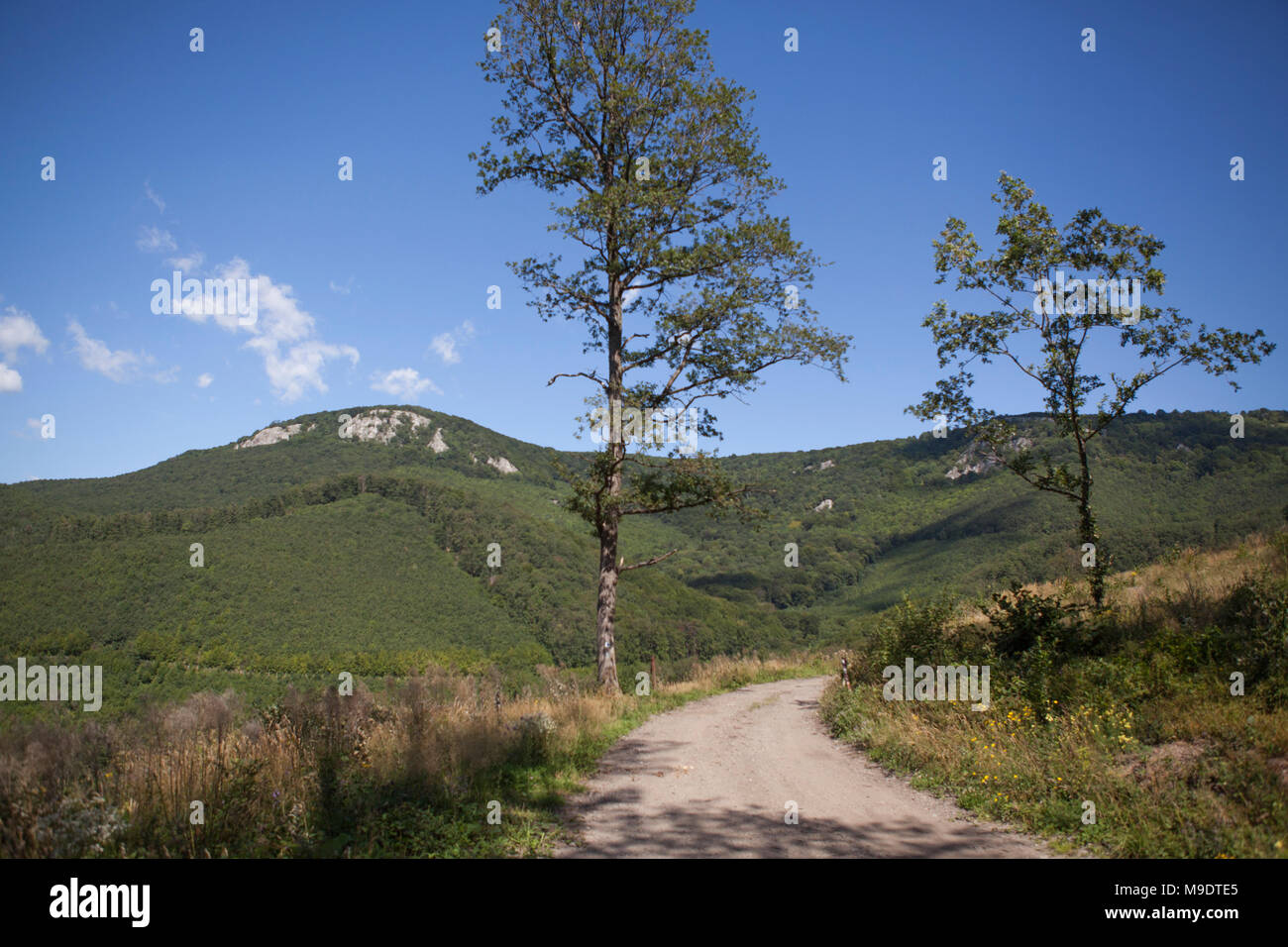 National blue trail hungary hi-res stock photography and images - Alamy