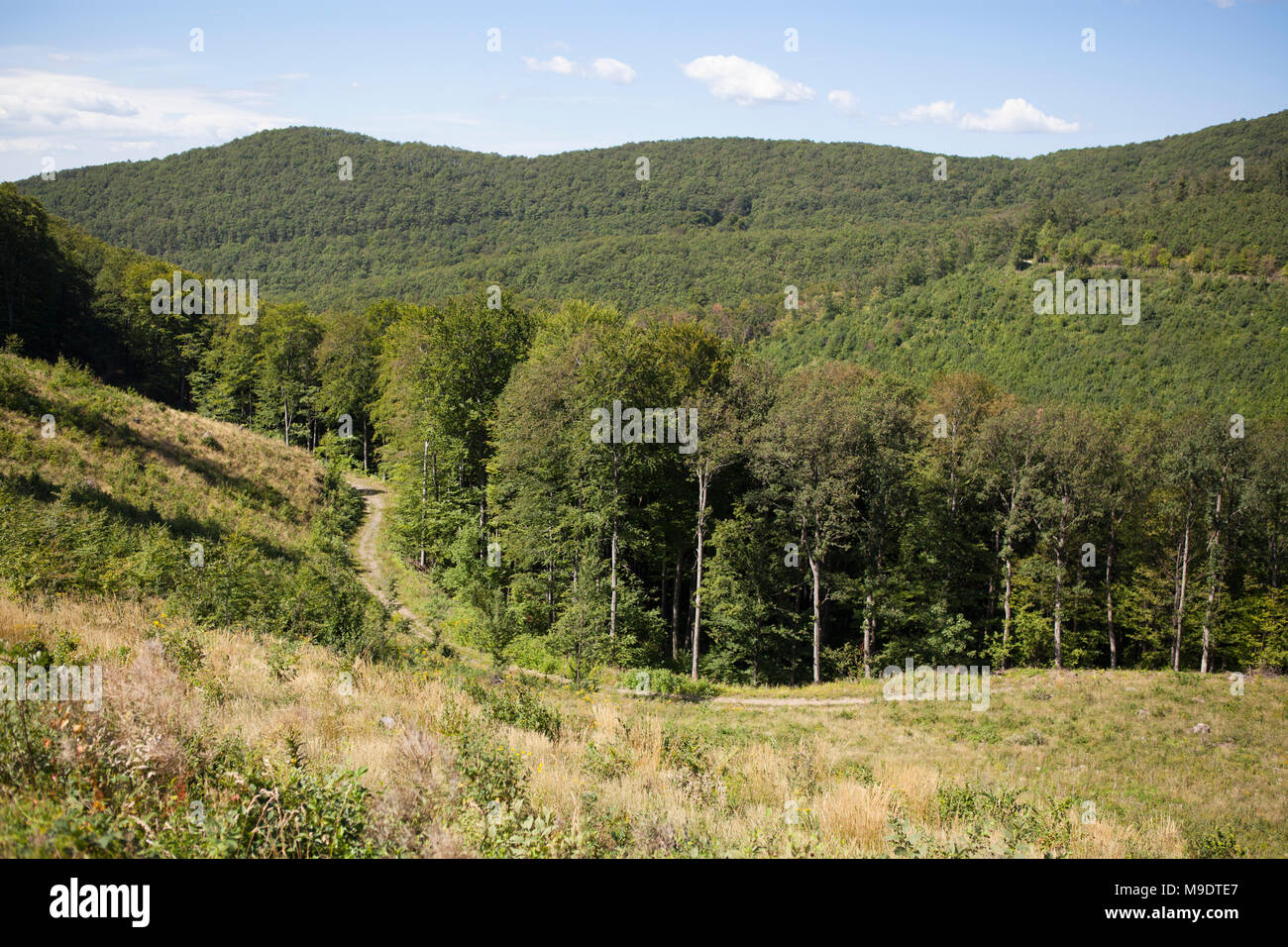 National blue trail hungary hi-res stock photography and images - Alamy