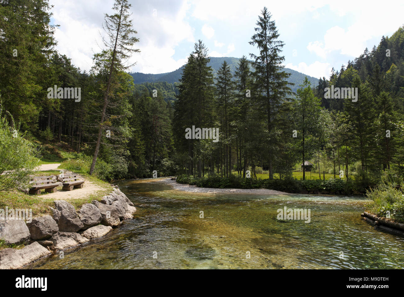 River Steyr floating through Austrian landscape near Hinterstoder Stock ...