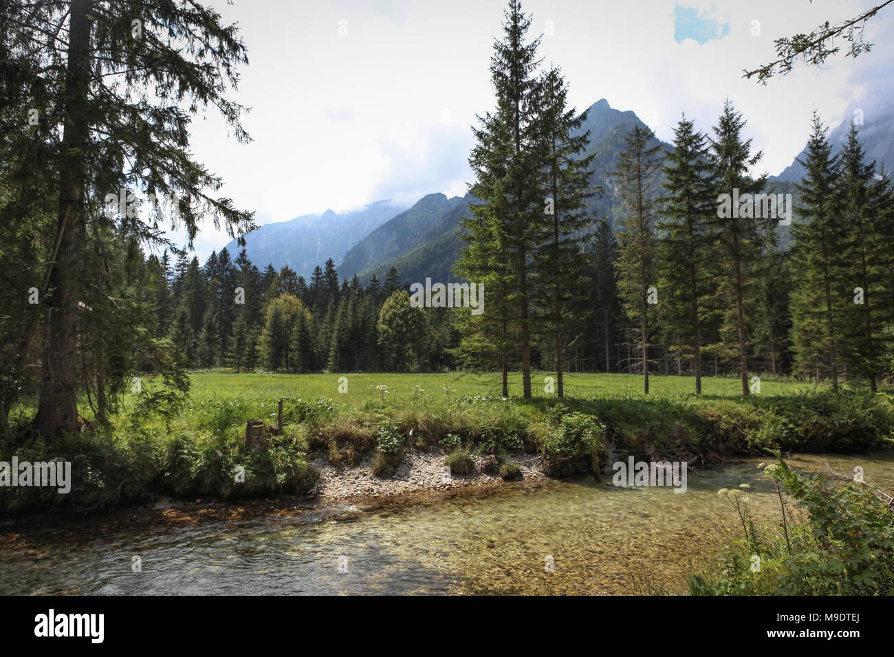River Steyr floating through Austrian landscape near Hinterstoder Stock ...