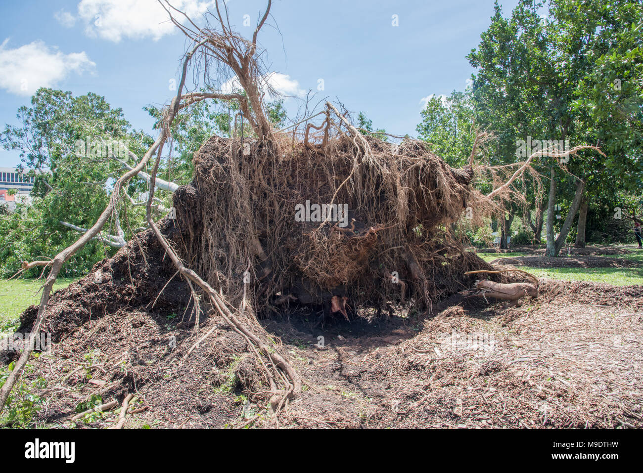 Esplanade and bicentennial park hi-res stock photography and images - Alamy