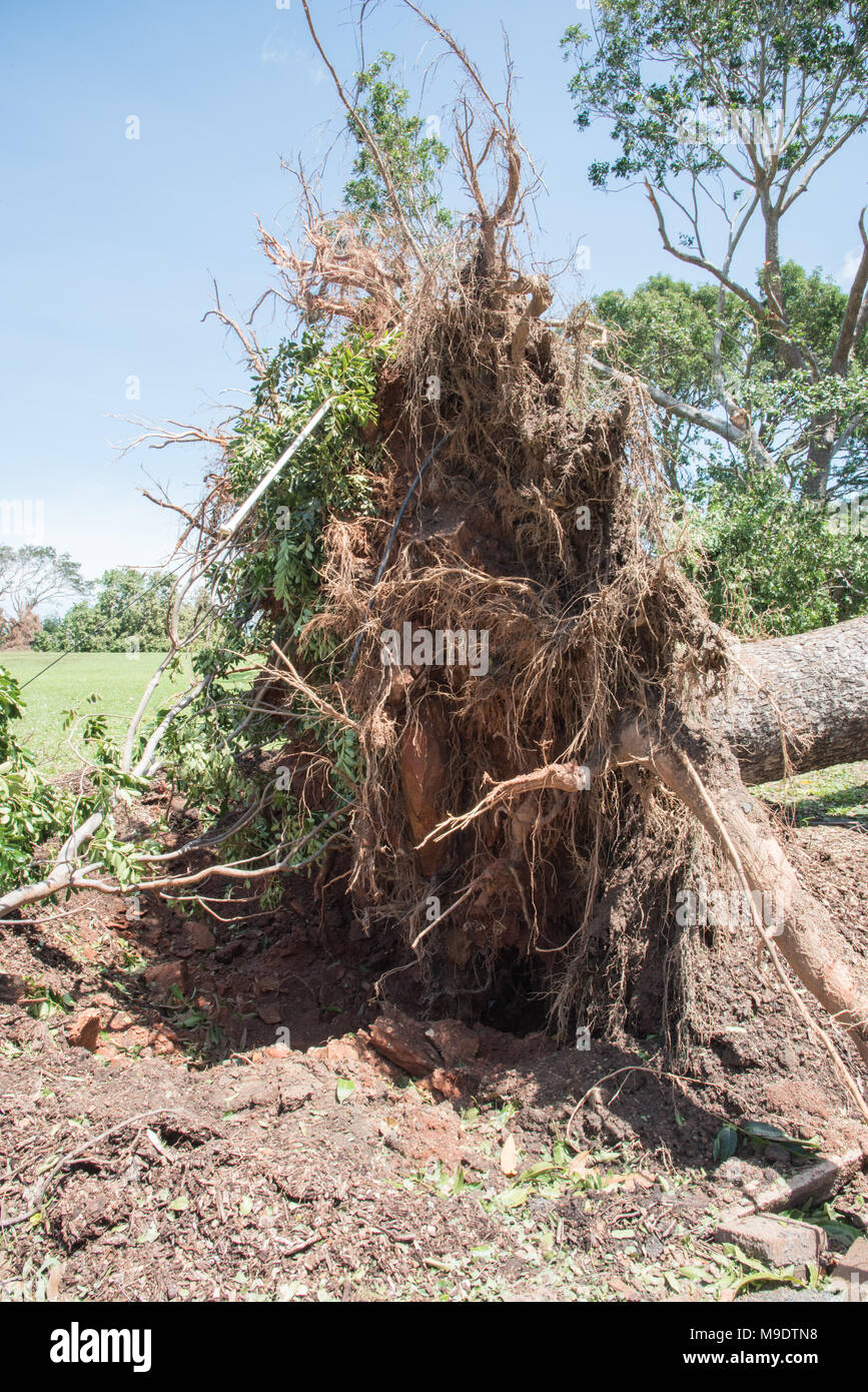 Esplanade and bicentennial park hi-res stock photography and images - Alamy