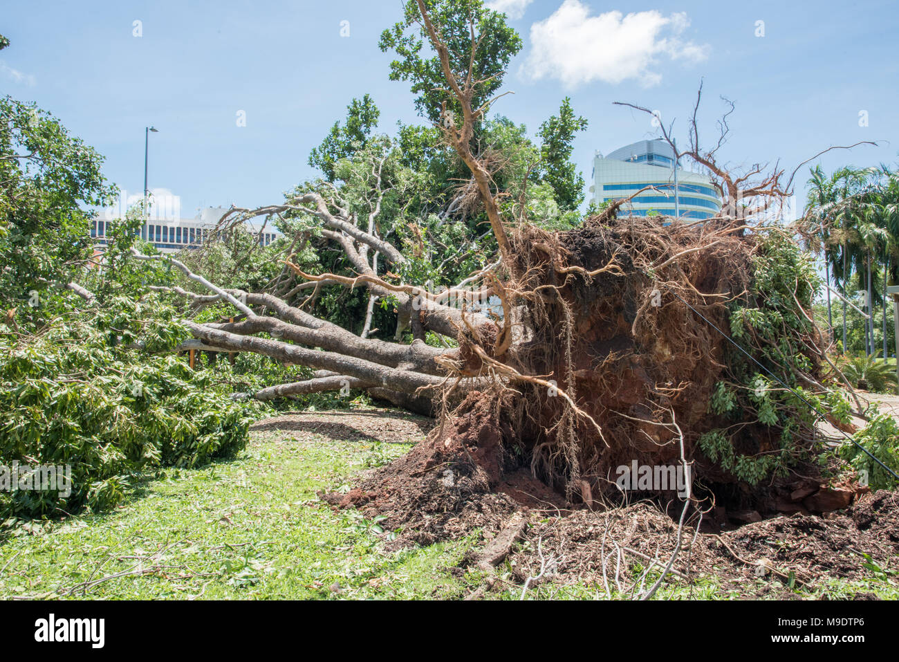 Esplanade and bicentennial park hi-res stock photography and images - Alamy