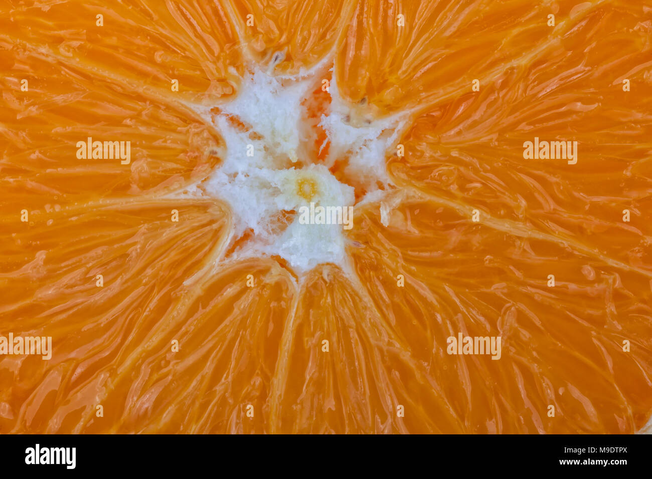 Macro photograph of the center of an orange cut in half Stock Photo - Alamy
