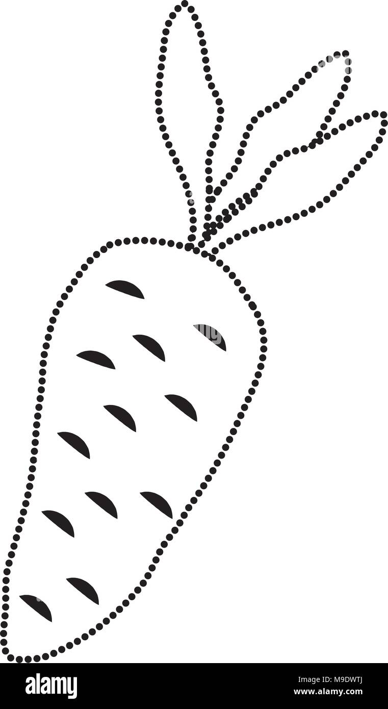 dotted shape healthy carrot vegetable food taste Stock Vector Image ...