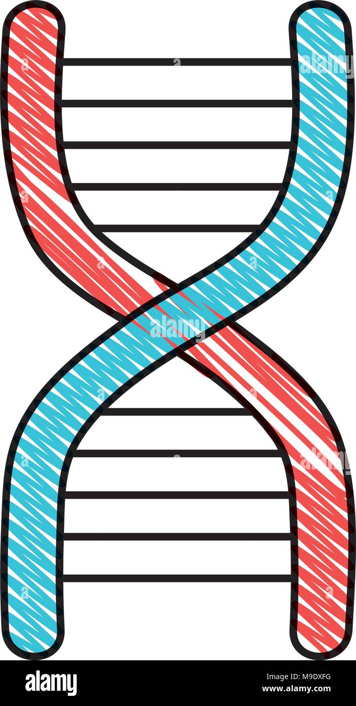 doodle dna science medical molecule structure Stock Vector Image & Art ...