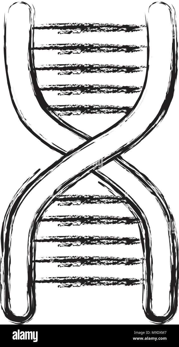 Dna Molecule Black and White Stock Photos & Images - Alamy