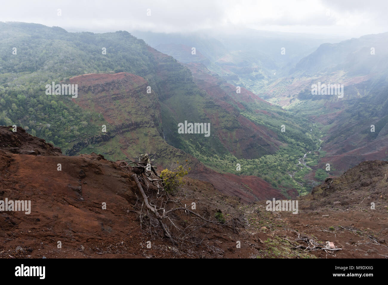 Ravine hawaii hi-res stock photography and images - Alamy