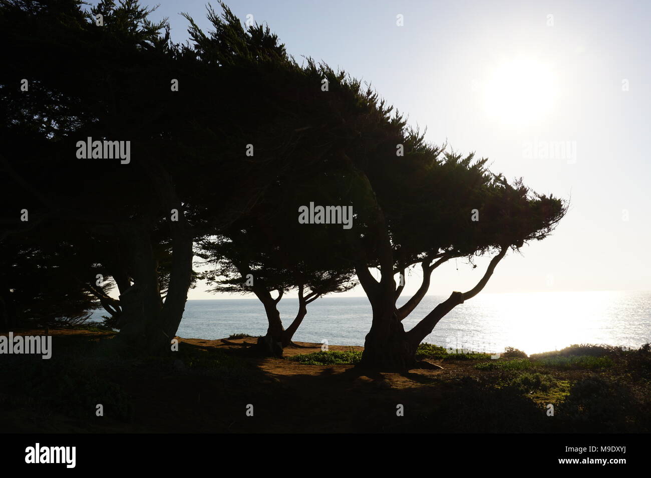 California Ocean Sunset Stock Photo - Alamy