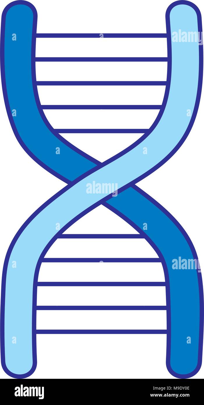 duo color dna science medical molecule structure Stock Vector Image ...