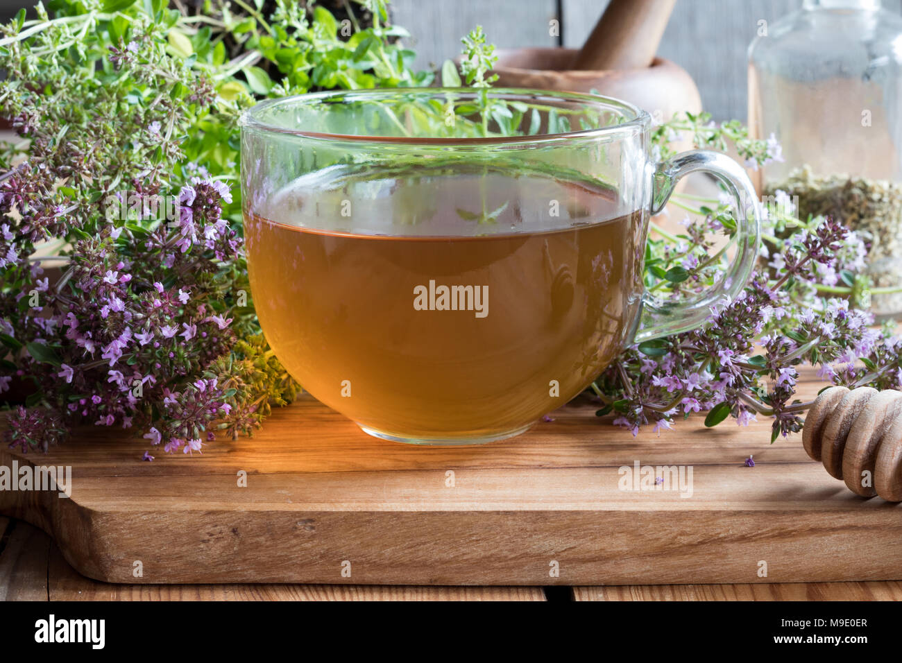 Thyme, thymus serpyllum hi-res stock photography and images - Alamy