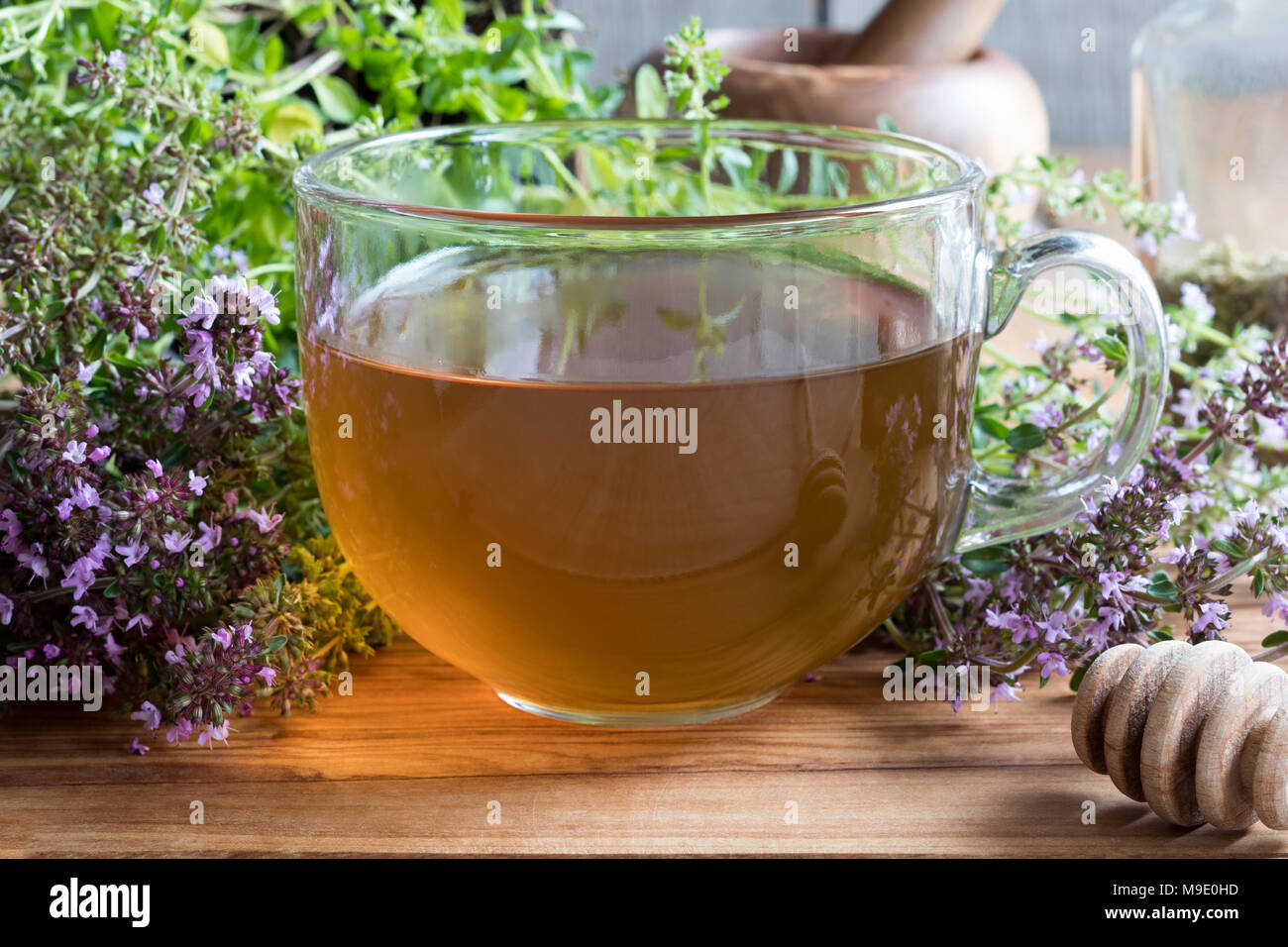 A cup of creeping thyme (thymus serpyllum) tea, with fresh blooming ...