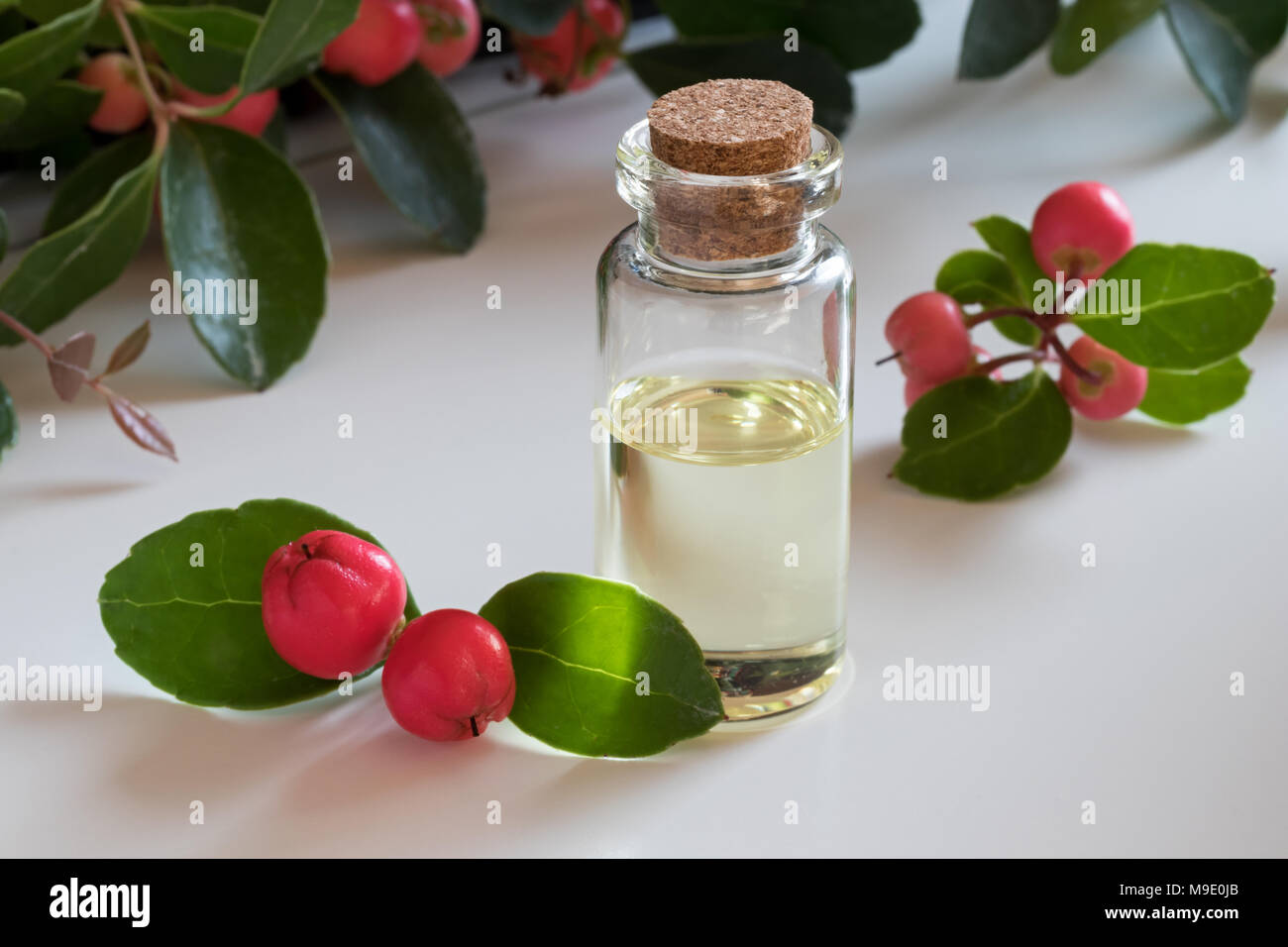 A bottle of wintergreen essential oil with wintergreen twigs on a white ...