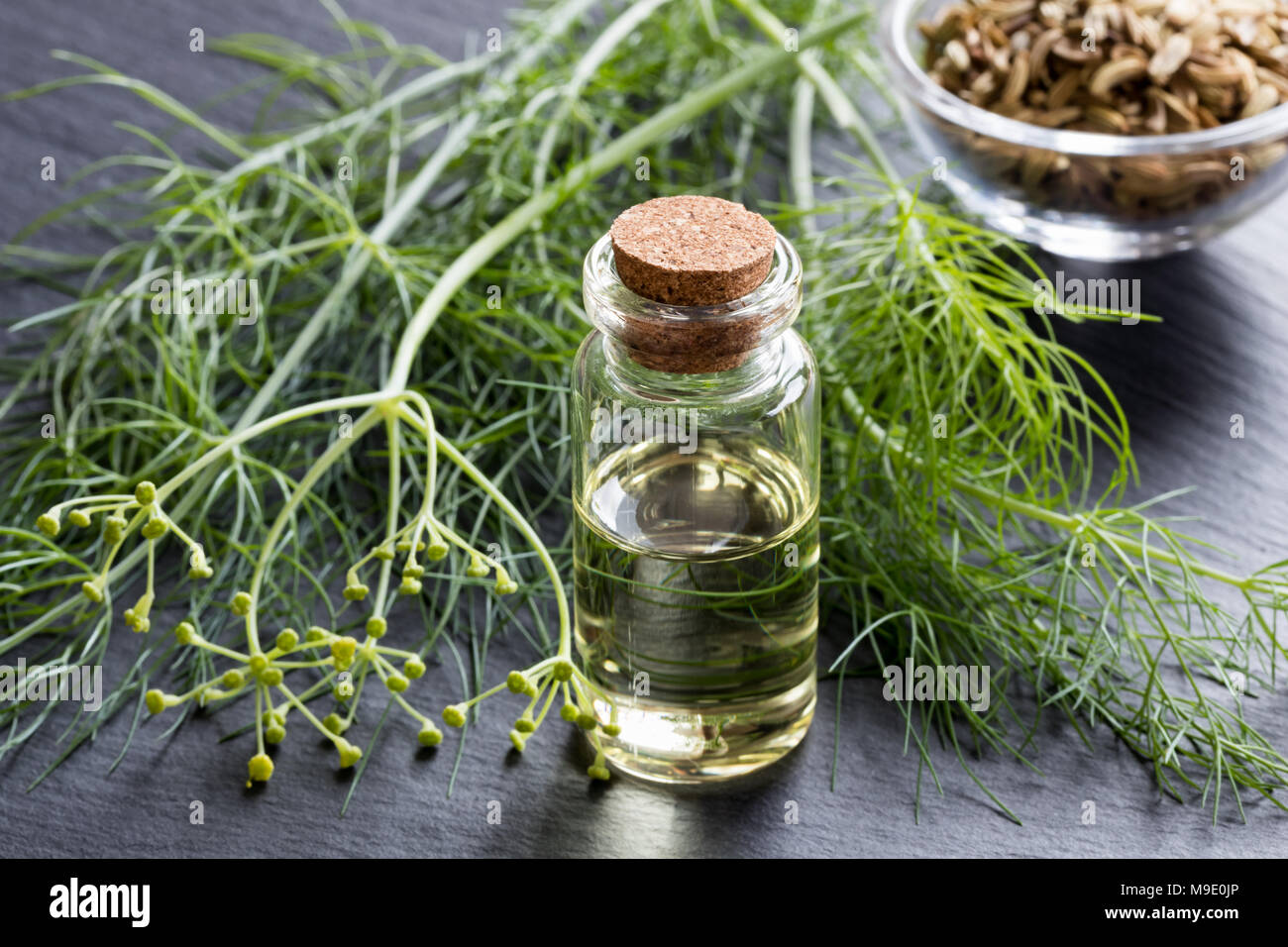 Fennel tops hi-res stock photography and images - Alamy