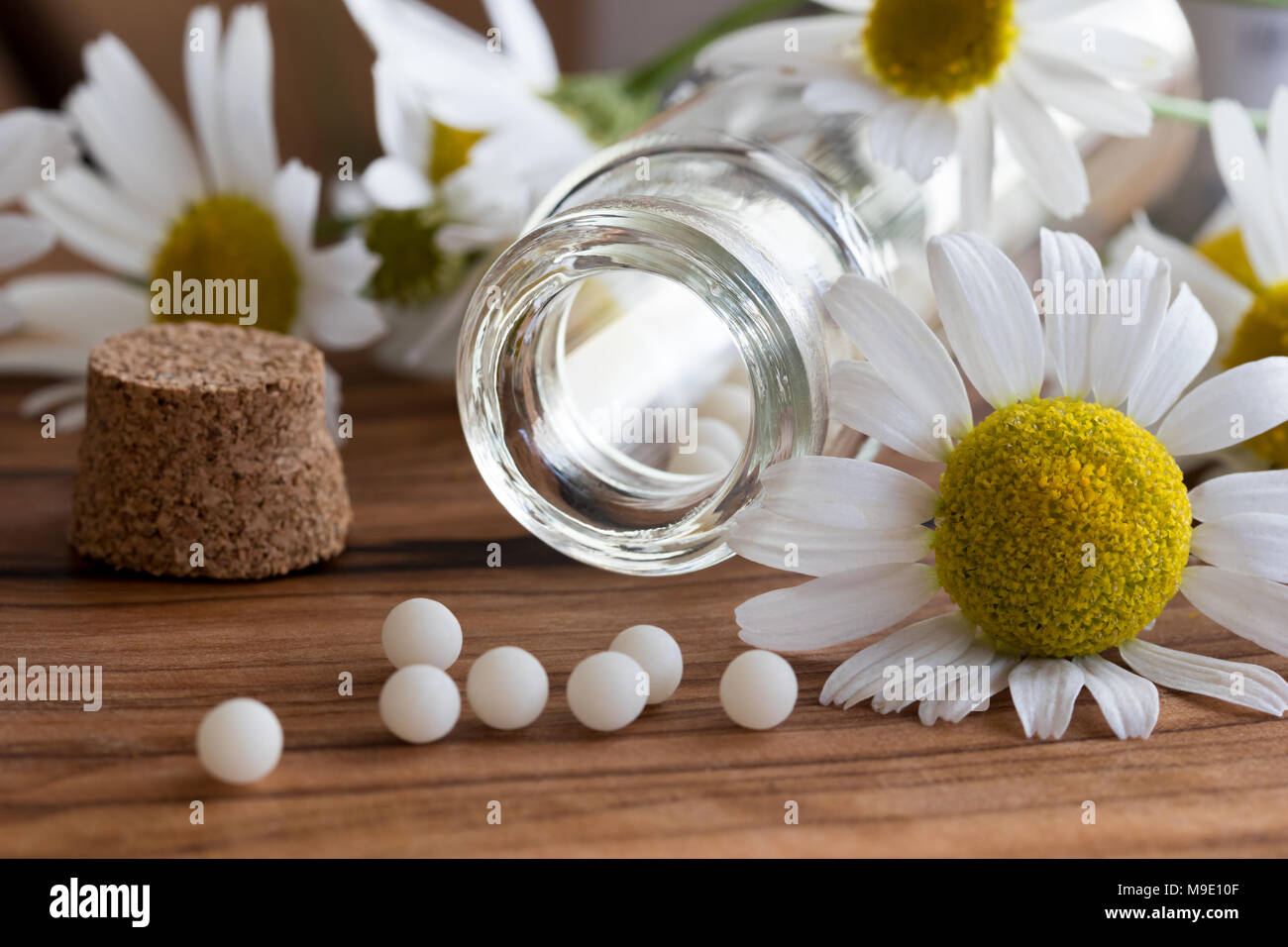 A bottle of homeopathic globules with chamomile flowers on a table ...