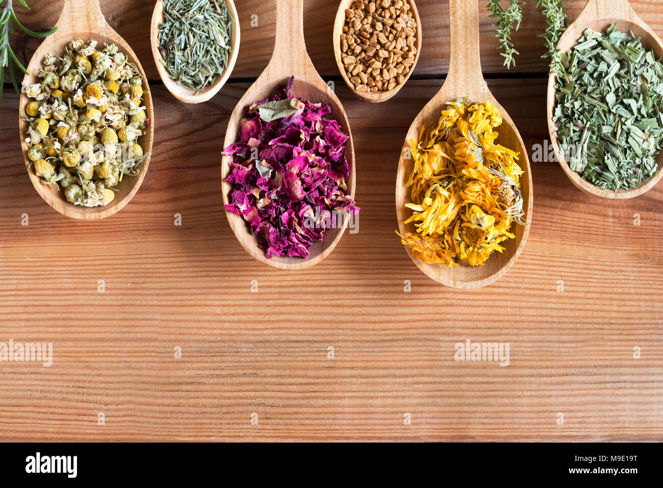 Empty plantain leaf hi-res stock photography and images - Alamy