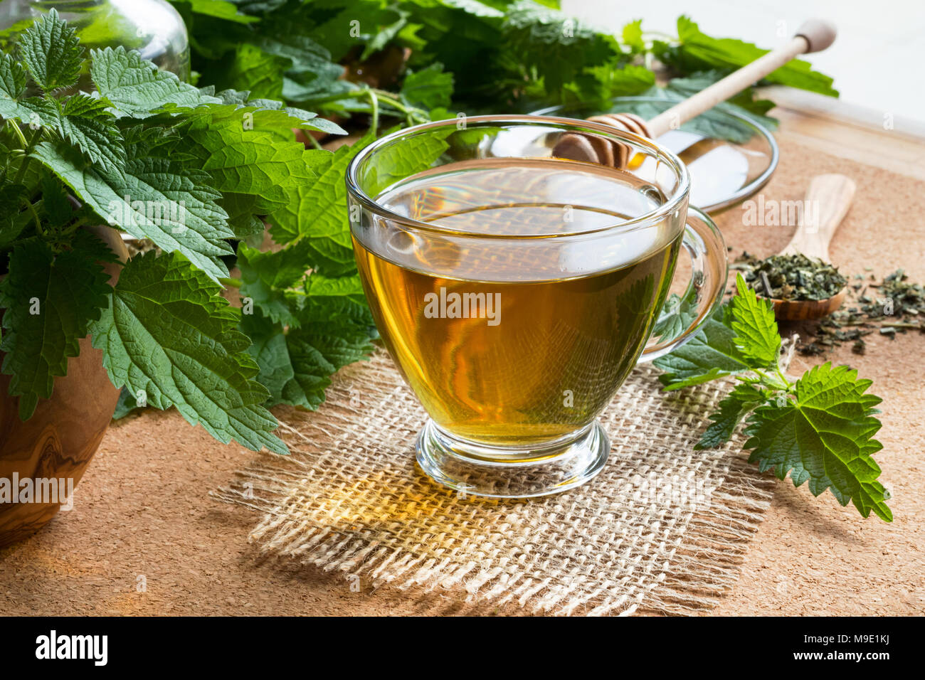 Stinging nettles in closeup hi-res stock photography and images - Alamy