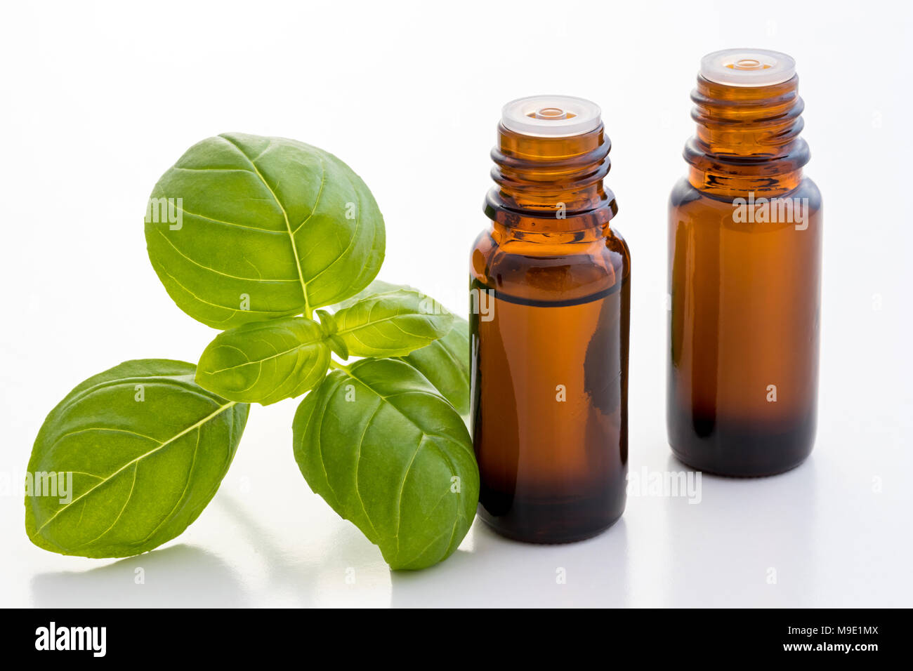 Two bottles of basil essential oil with fresh basil leaves on a white ...