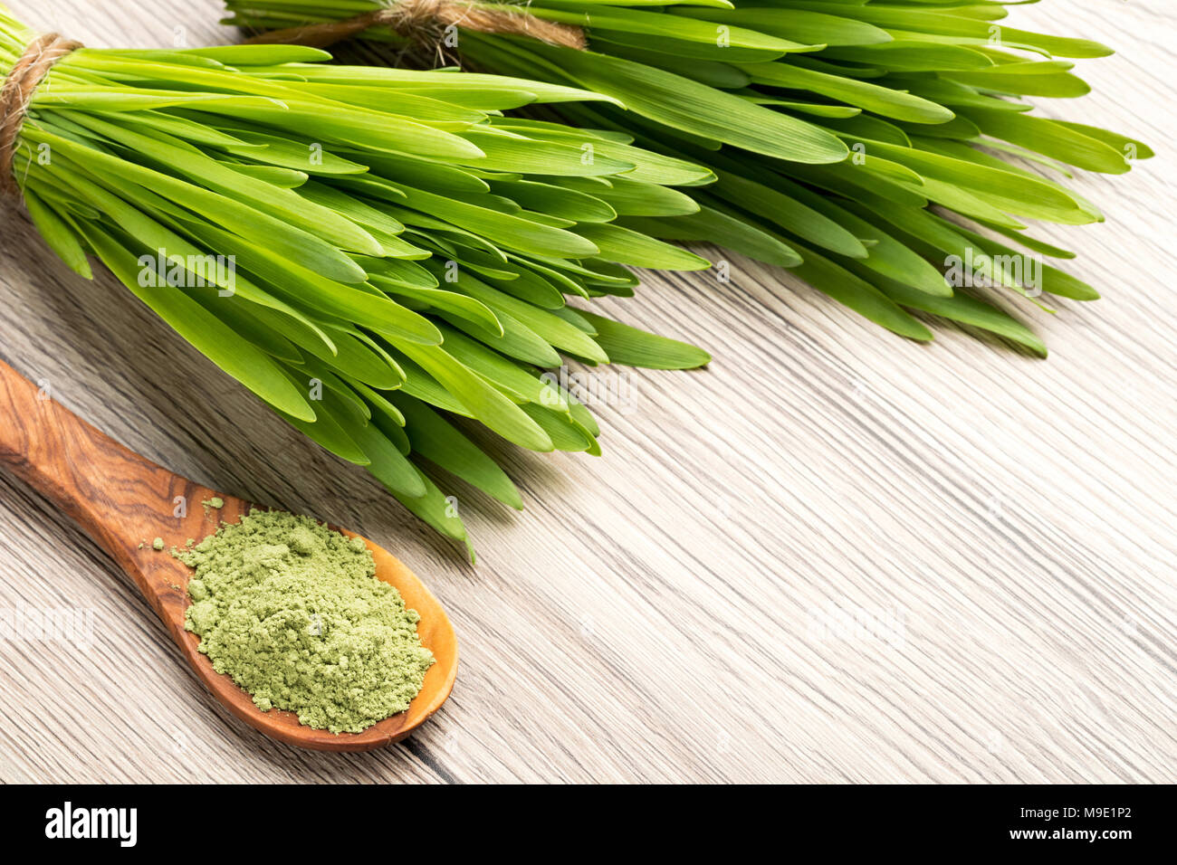 Fresh young barley grass with green barley grass powder and copy space ...
